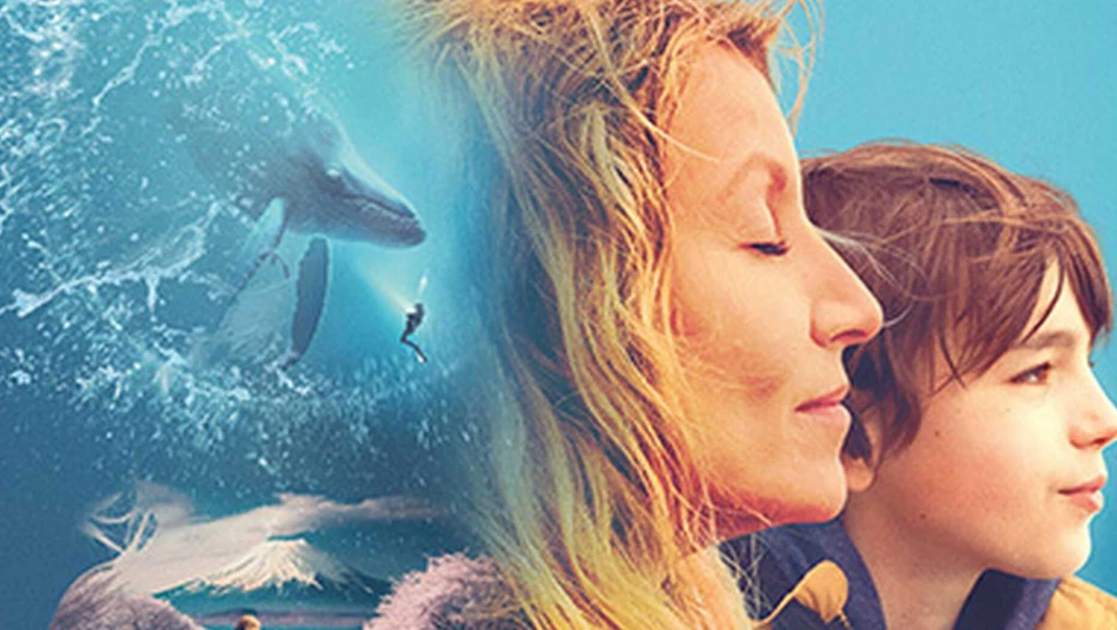 Das Zimmer der Wunder | Kino im Kesselhaus